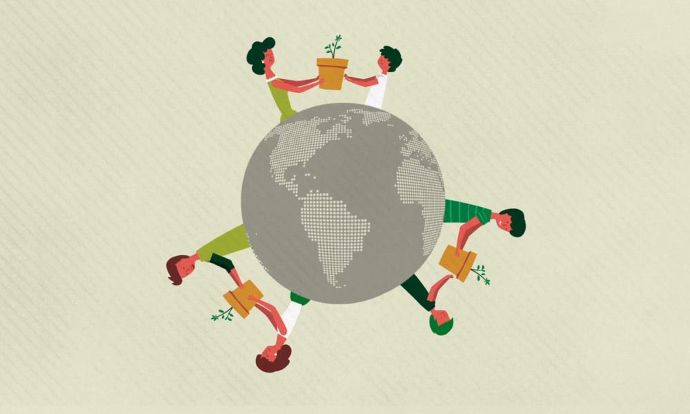 Amni Soul Eco, il primo filato che si biodegrada - La Spola